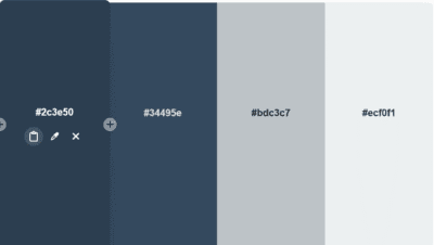 9 Luxury Color Palettes That Define High-End Design in 2025 - Brandlic